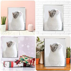 DECANIT 3.5x5 Picture Frame Metal, Thin Profile Photo Frame 3.5 by 5 Inch, Display for Wall or Tabletop,Silver