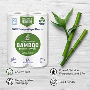 Bamboo Paper Towels - 2 Rolls of Paper Towels - 2-Ply Made From Tree-Free, 100% Bamboo Fibers - Eco-Friendly, 100% Biodegradable Packaging - Silky, Soft, and Sustainable Packaging May Vary