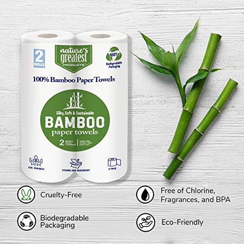 Bamboo Paper Towels - 2 Rolls of Paper Towels - 2-Ply Made From Tree-Free, 100% Bamboo Fibers - Eco-Friendly, 100% Biodegradable Packaging - Silky, Soft, and Sustainable Packaging May Vary