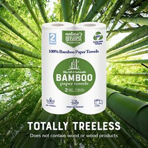 Bamboo Paper Towels - 2 Rolls of Paper Towels - 2-Ply Made From Tree-Free, 100% Bamboo Fibers - Eco-Friendly, 100% Biodegradable Packaging - Silky, Soft, and Sustainable Packaging May Vary