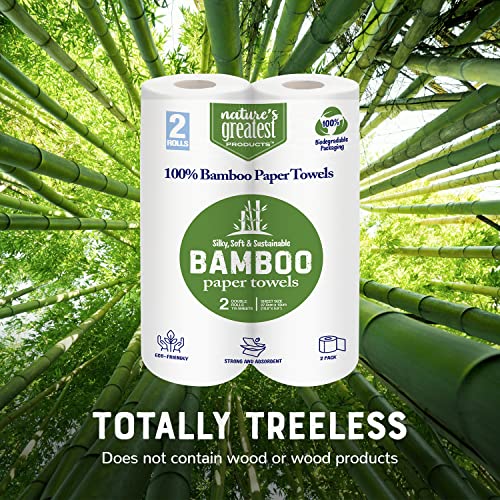 Bamboo Paper Towels - 2 Rolls of Paper Towels - 2-Ply Made From Tree-Free, 100% Bamboo Fibers - Eco-Friendly, 100% Biodegradable Packaging - Silky, Soft, and Sustainable Packaging May Vary