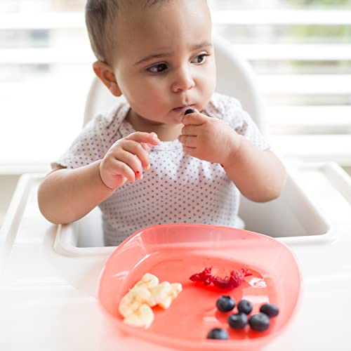 Dr. Brown's Stackable Plates for Toddlers and Babies, BPA Free, 4-Pack, 4m+