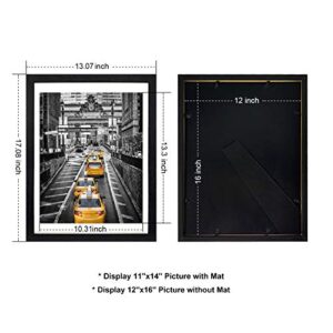 Finefrarm 12x16 Frames Display 11x14 Picture with Mat or 12 x 16 Photo Without Mats Black Picture Frames Wall Art for Living Room and Office Wall Mounting Decor