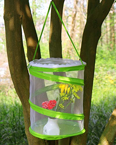 RESTCLOUD Pop-up Insect and Butterfly Habitat Cage Terrarium Clear Mesh Enclosure, See Through Easier 9" x 11" Tall