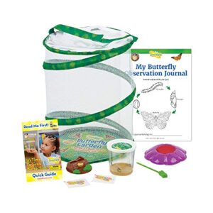 butterfly garden: original habitat and live cup of caterpillars with stem butterfly journal – life science & stem education – butterfly science kit