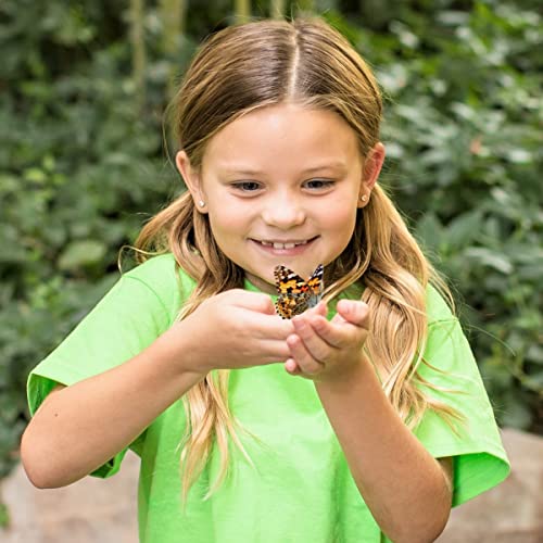 Butterfly Garden: Original Habitat and Live Cup of Caterpillars with STEM Butterfly Journal – Life Science & STEM Education – Butterfly Science Kit