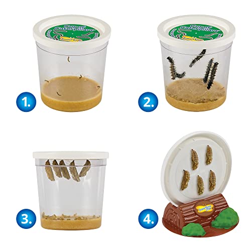 Butterfly Garden: Original Habitat and Live Cup of Caterpillars with STEM Butterfly Journal – Life Science & STEM Education – Butterfly Science Kit