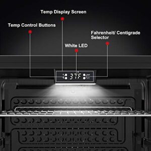 Galanz GLB57MS2B15 172 Cans Built in Beverage Refrigerator, Digital Temperature Control, White LED Interior Lighting, Stainless Steel