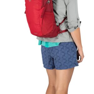 Osprey Daylite Daypack , Cosmic Red