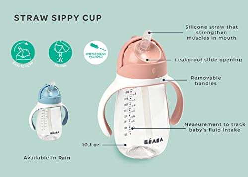 Beaba Straw Sippy Cup, Sippy Cup with Removable Handles, Sippy Cup with Straw, Baby Straw Cup, Toddler Cup, Toddler Straw Cups, 8+ months, 10 oz, Rose