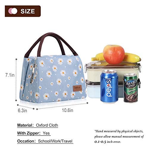 Buringer Reusable Insulated Lunch Bag Cooler Tote Box Meal Prep for Men & Women Work Picnic or Travel (Flying Flowers)