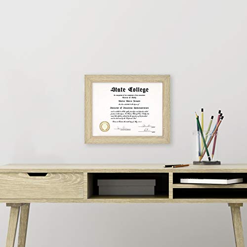 MCS Studio Gallery Document Frame, Certificate Frame Fits 8.5 x 11 Diplomas, Documents & Certificates, Natural Woodgrain, Single