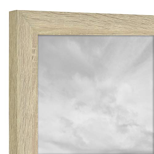 MCS Studio Gallery Document Frame, Certificate Frame Fits 8.5 x 11 Diplomas, Documents & Certificates, Natural Woodgrain, Single