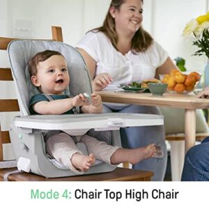 Ingenuity Beanstalk Baby to Big Kid 6-in-1 High Chair Converts from Soothing Infant Seat to Dining Booster Seat and more, Newborn to 5 Yrs - Ray