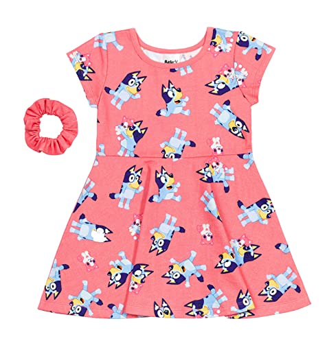 Bluey Toddler Girls Skater Dress Pink 4T