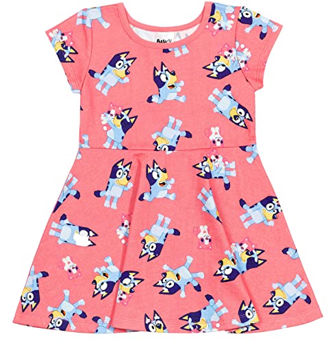 Bluey Toddler Girls Skater Dress Pink 4T