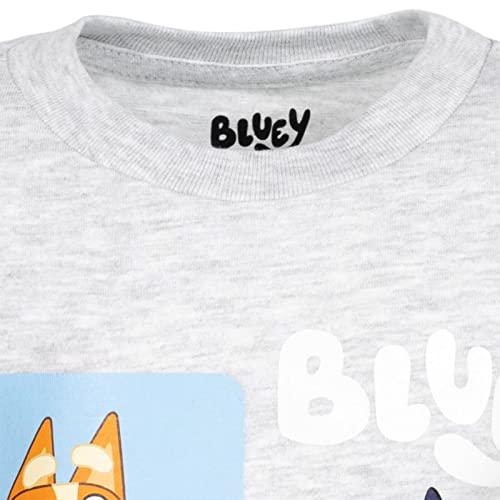 Bluey Bingo Mom Bandit Little Boys Girls 2 Pack Graphic T-Shirt Blue/Gray 6