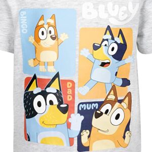 Bluey Bingo Mom Bandit Little Boys Girls 2 Pack Graphic T-Shirt Blue/Gray 6