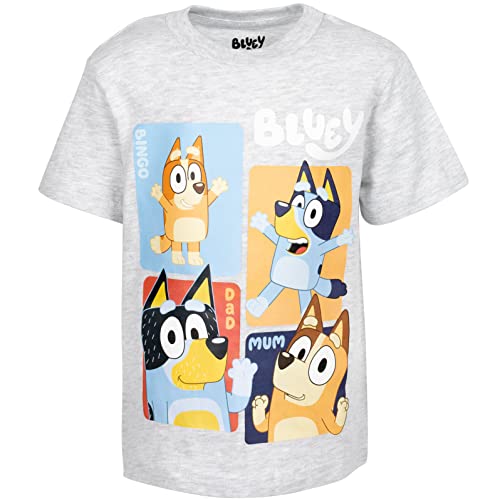 Bluey Bingo Mom Bandit Little Boys Girls 2 Pack Graphic T-Shirt Blue/Gray 6