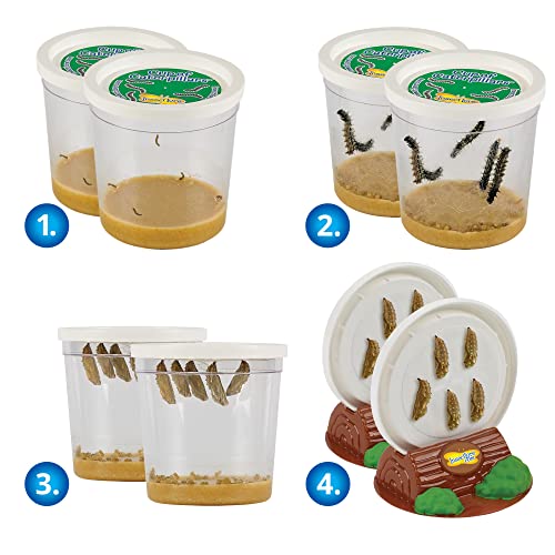 Butterfly Garden: Original Habitat and Two Live Cups of Caterpillars with STEM Butterfly Journal – Life Science & STEM Education – Butterfly Science Kit - Plus Butterfly Life Cycle Stages Figurines