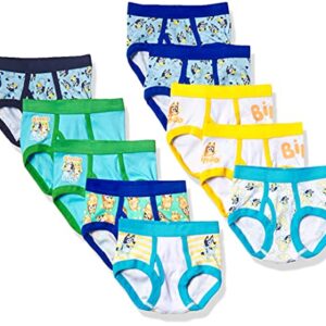 Bluey boys Underwear Multipack Briefs, Bluey10pk, 2-3T US