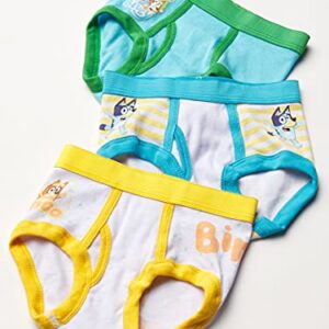 Bluey boys Underwear Multipack Briefs, Bluey10pk, 2-3T US