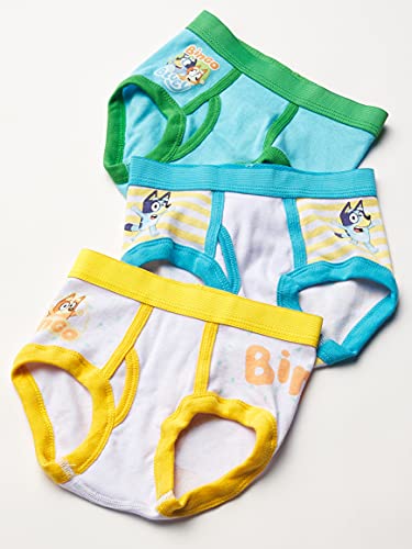 Bluey boys Underwear Multipack Briefs, Bluey10pk, 2-3T US