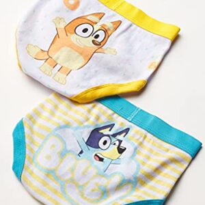 Bluey boys Underwear Multipack Briefs, Bluey10pk, 2-3T US