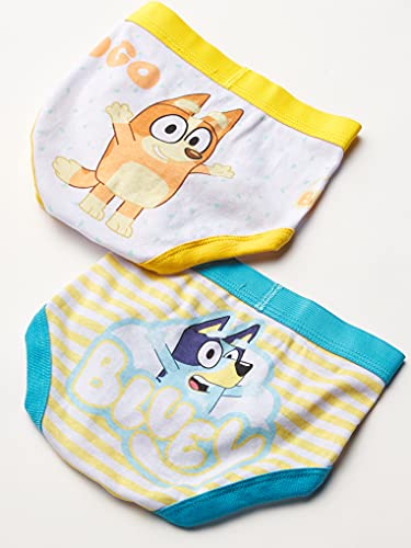 Bluey boys Underwear Multipack Briefs, Bluey10pk, 2-3T US