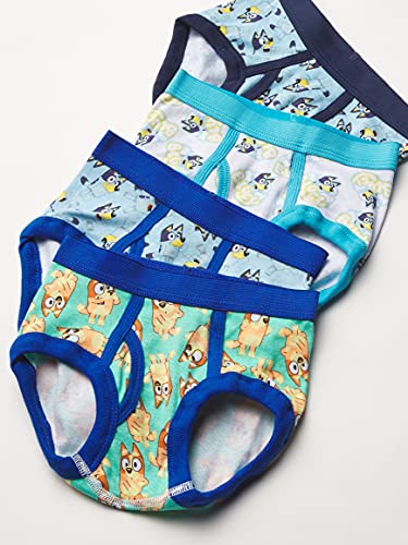 Bluey boys Underwear Multipack Briefs, Bluey10pk, 2-3T US