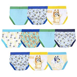 Bluey boys Underwear Multipack Briefs, Bluey10pk, 2-3T US