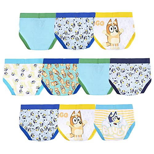 Bluey boys Underwear Multipack Briefs, Bluey10pk, 2-3T US