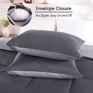 CAROMIO Duvet Cover Queen Size, 3 Pieces Double Brushed Microfiber Duvet Cover Set, All Season Soft Reversible Duvet Cover with Zipper Closure, Charcoal/Silver Grey, 90x90 Inches