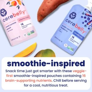 Cerebelly Celery Apple Kiwi Smoothie (Pack of 6) - Healthy Kids Snacks - Baby Food Pouch with 16 Vital Nutrients and Brain Support from Superfoods - Organic Fruit & Veggie Purees, Baby Fruit Squeeze Pouches for Kids, No Added Sugar