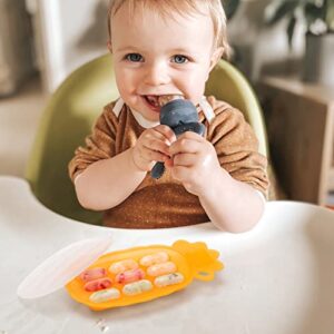 haakaa Silicone Nibble Freezer Tray -Breast Milk Teething Popsicle Mold | Baby Fruit Food Feeder Teether Tray | Ice Cube Maker Serving Plate Stackable Snack Storage Tray - Baby |Toddler- BPA Free