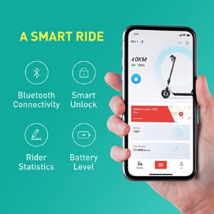 NIU KQi2 Electric Scooter for Adults - 300W Power, Upto 25 Miles Long Range, Max Speed 17.4MPH, 10'' Tubeless Tires, Dual Brakes, Portable Folding Commuting E Scooter, UL Certified - Gray