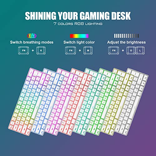 RedThunder 60% Mini Gaming Keyboard and Mouse Combo, Lightweight, Ultra-Compact 61 Keys RGB Backlit,7200 DPI Honeycomb Optical Mouse, Wired Gaming Set for PC MAC PS5 Xbox Gamer(White)