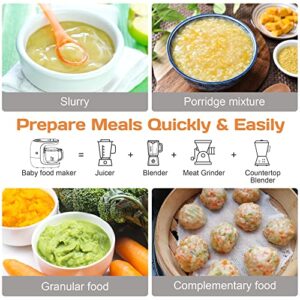 Baby Food Maker, Baby Food Processor Blender Grinder Steamer Cooks Blends Healthy Homemade Baby Food in Minutes Touch Screen Control… (BFM-003)