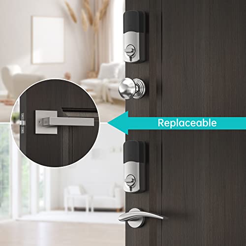 hornbill Front Door Entry Handleset with Level, Single Cylinder Exterior Door Entry Handle with Door Lever, Entry Door Lock Handle Set for Left & Right Sided Doors (Satin Nickel Finish)