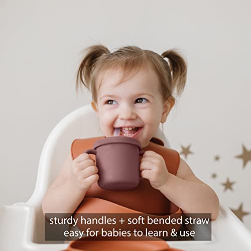 TotAha Silicone Straw Cup for Baby | Sippy Cups for Babies 6-12-18 Month | Sip-N-Snack Lid 2-in-1 Transition Cup from Bottle | Open Training Cups with Easy-Hold Handle | Baby Led Weaning Snack Cups