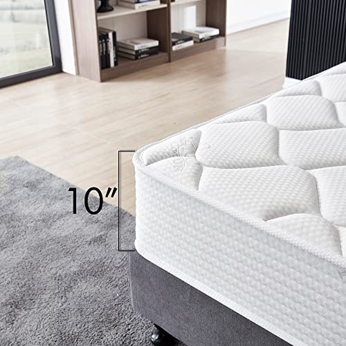 Twin Size Mattress - 10 Inch Cool Memory Foam & Spring Hybrid Mattress with Breathable Cover - Comfort Plush Euro Pillow Top - Rolled in a Box - Oliver & Smith