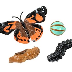 Two Cups of Caterpillars and Butterfly Figurines - Life Science & STEM Education - Butterfly Kit Refill - Painted Lady Butterflies - Butterfly Lifecycle Observation