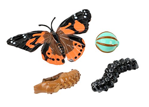 Two Cups of Caterpillars and Butterfly Figurines - Life Science & STEM Education - Butterfly Kit Refill - Painted Lady Butterflies - Butterfly Lifecycle Observation