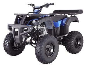 hhh taotao rhino 250 adult atv quad 4-speed manual transmission air cooled 4-stroke