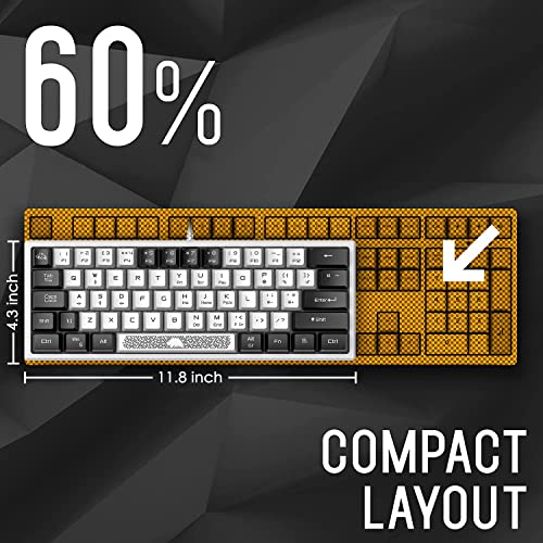 XINMENG 60% Wired Gaming Keyboard and Mouse Combo True RGB Mini Mechanical Feel Ultra-Compact Keyboard and RGB 6400 DPI Honeycomb Optical Mouse,Gaming Mouse pad for Windows Mac Laptop PC Gamer