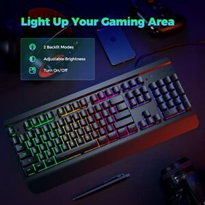 Dacoity Gaming Keyboard, 104 Keys All-Metal Panel, Rainbow LED Backlit Quiet Computer Keyboard, Wrist Rest, Multimedia Keys, Anti-ghosting Keys, Waterproof Light Up USB Wired Keyboard for PC Mac Xbox