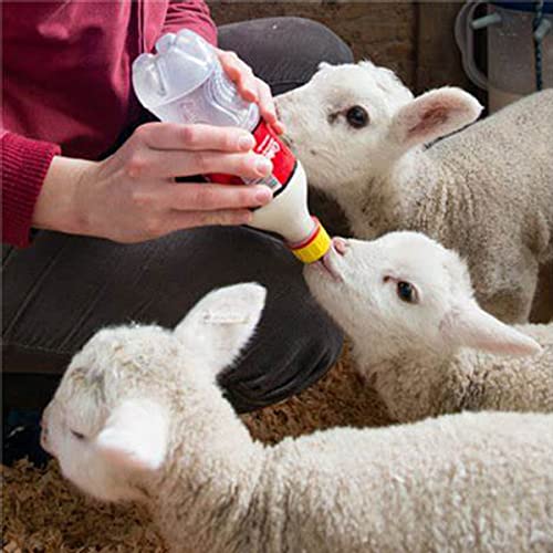 Small Animal Milk Drink Nipples with Flutter Valves Soft Rubber Cow Calf Milk Drinking Nipple for Goats Lambs Sheep Piglet Screw On Soda Bottle,15Pieces