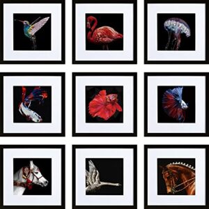 heart art 12x12 black picture frame set of 9, display pictures 8x8 with mat or 12 x 12 without mat, multi collage gallery square photo frames for wall