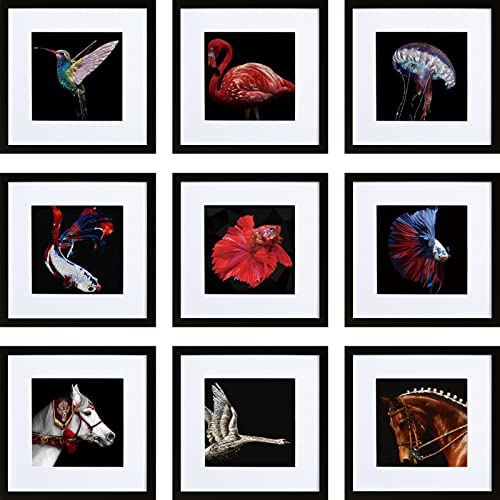 HEART ART 12x12 Black Picture Frame Set of 9, Display Pictures 8x8 with Mat or 12 x 12 without Mat, Multi Collage Gallery Square Photo Frames for Wall