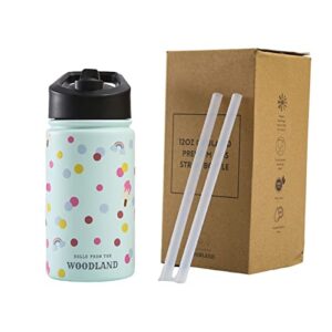 Kids Thermal Bottle with Straw Lid & Loop Cap, 12oz Premium Stainless Steel Water Bottle, Easy to Drink for Toddlers, Keeps Drinks Fresh for 12 Hours, 2 designs